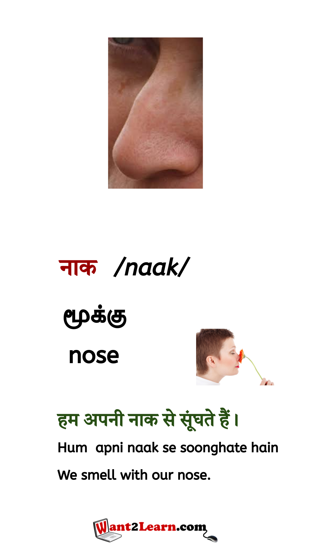 Hindi Body Parts – Learn Languages Through Audio Video Materials